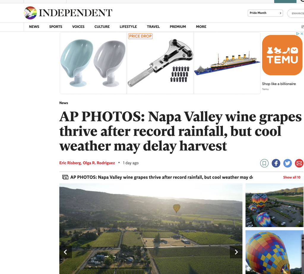 Napa Valley wine grapes thrive after record rainfall, but cool weather ...