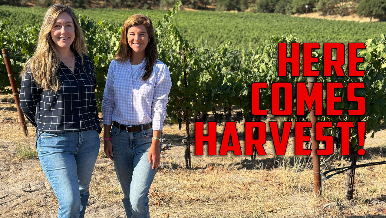 2025 Harvest Archives - Harvest Napa Valley