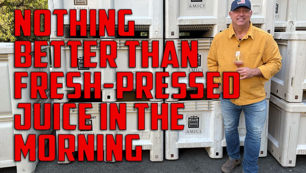 What does fresh-pressed Cabernet juice look like? - Harvest Napa Valley